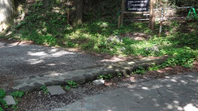 Hakone Round Course in a Wheelchair – Accessible Japan